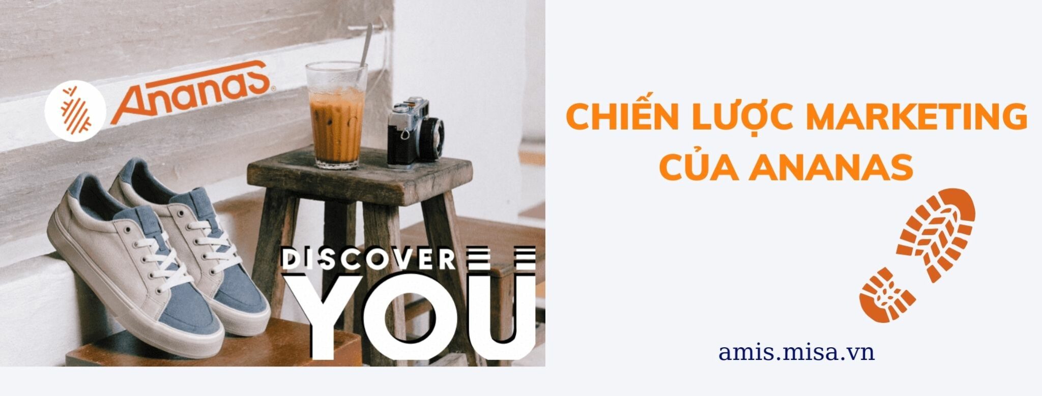 Phân tích chi tiết chiến lược marketing của Ananas