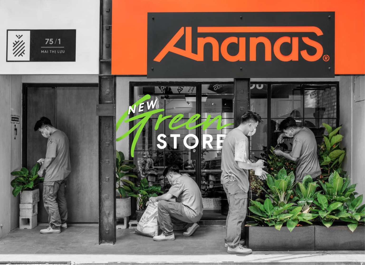 Phân tích chi tiết chiến lược marketing của Ananas
