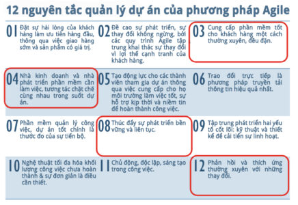 Phương pháp Agile là gì? Cách quản lý dự án theo phương pháp Agile